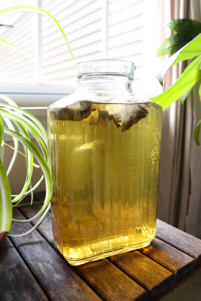 How to Make Sun Tea - Season & Thyme