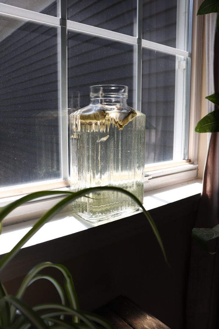 How to Make Sun Tea - Season & Thyme