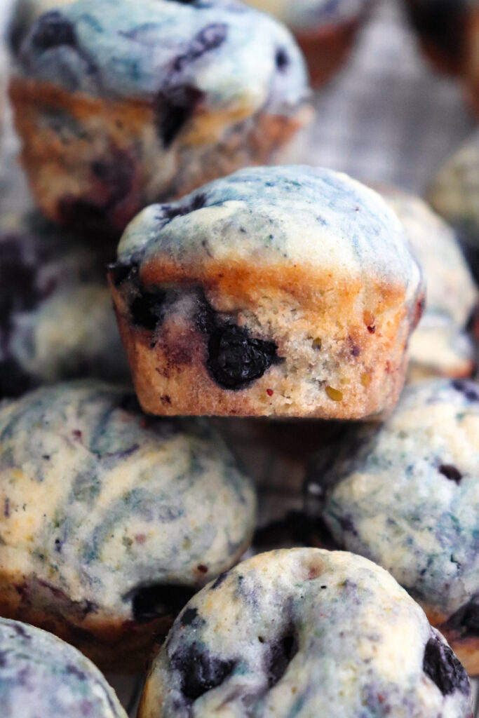 Homemade Mini Blueberry Muffins - Season & Thyme